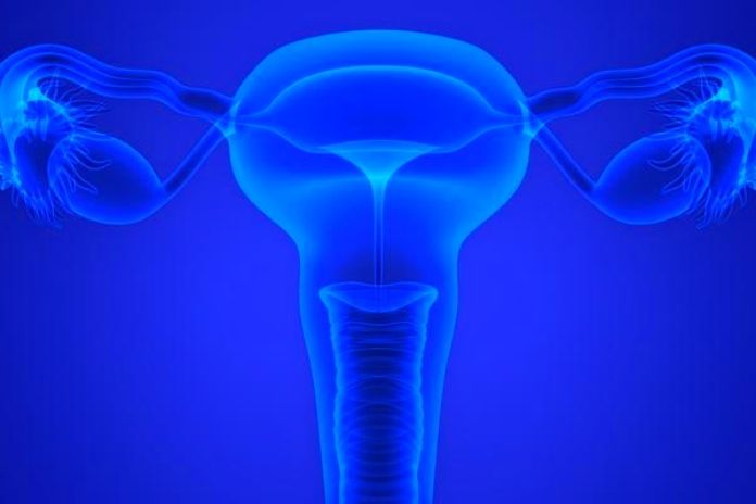 Blue Waffle Disease: Should We Worry?