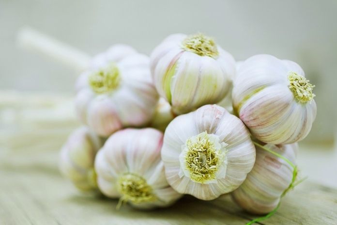 Garlic Water Weight Loss? What Is It For, What Benefits, And How To Do It