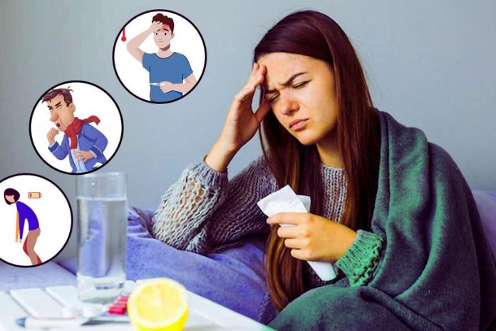 What Are The Symptoms Of Low Immunity?